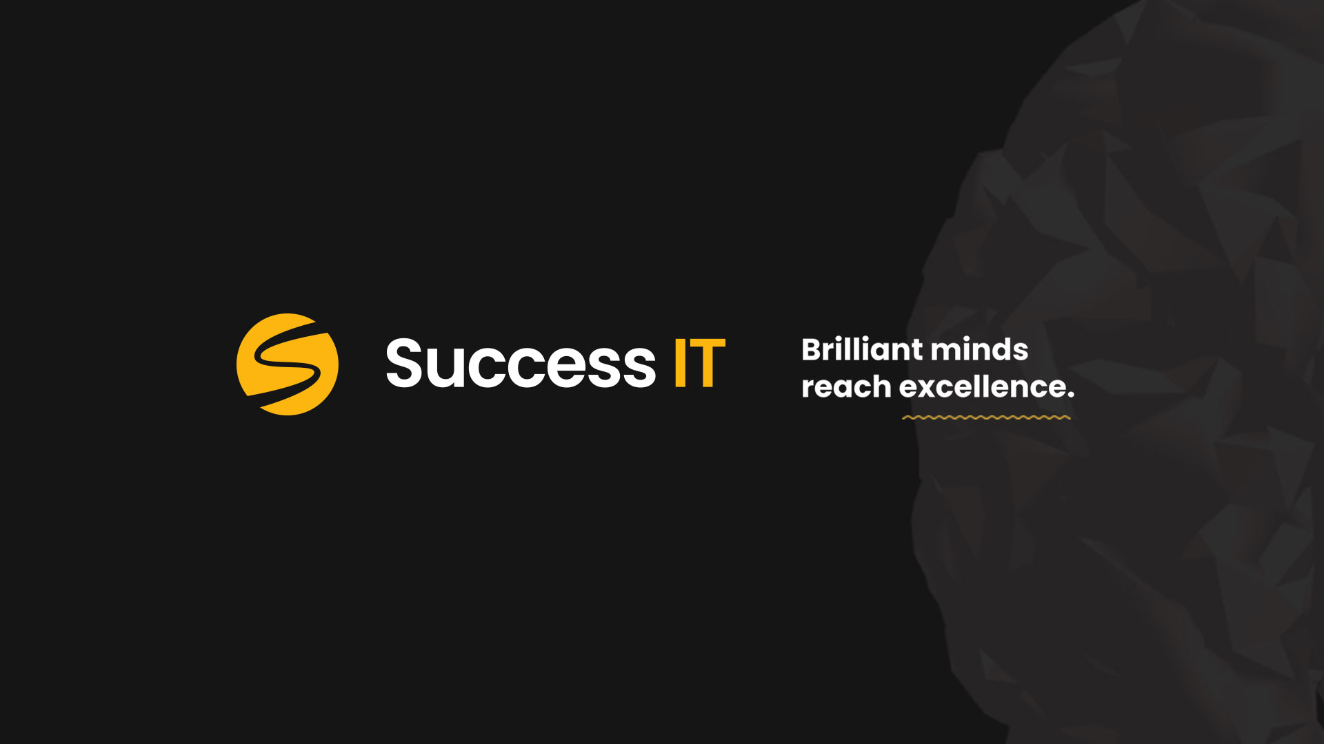 Success IT - What We Do